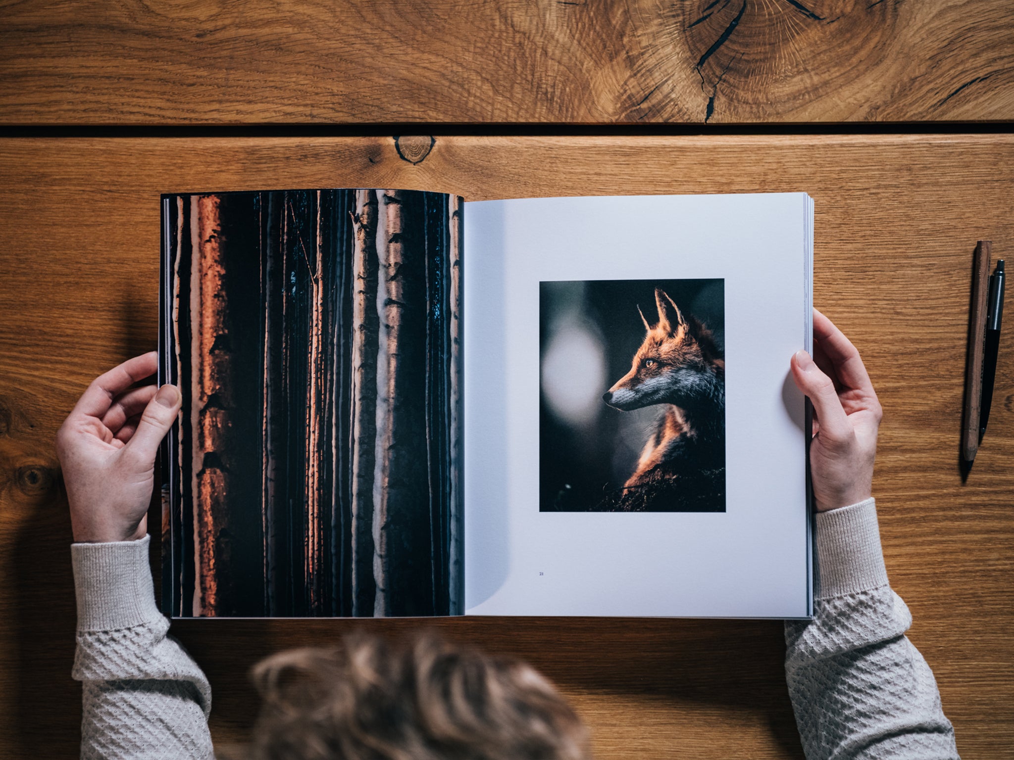 Konsta Punkka's Animal Portraits – Outdoor & Wildlifemasterclass