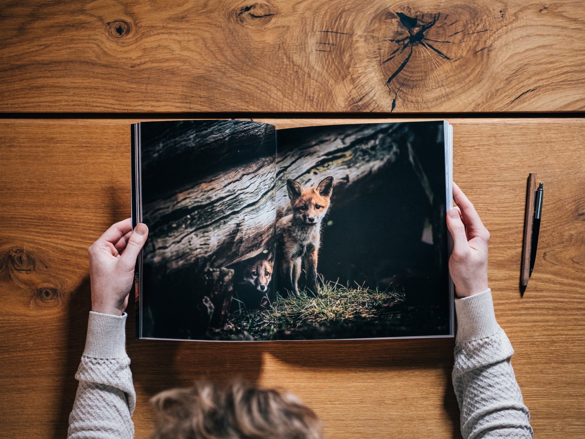 Konsta Punkka's Animal Portraits – Outdoor & Wildlifemasterclass