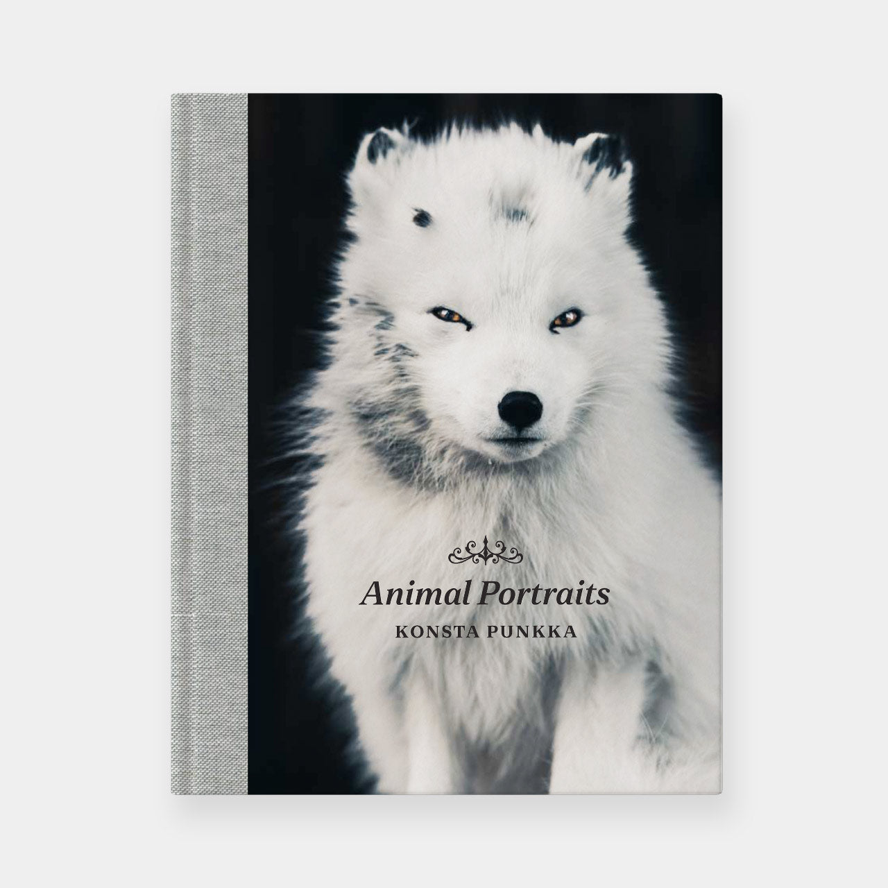 Konsta Punkka's Animal Portraits – Outdoor & Wildlifemasterclass